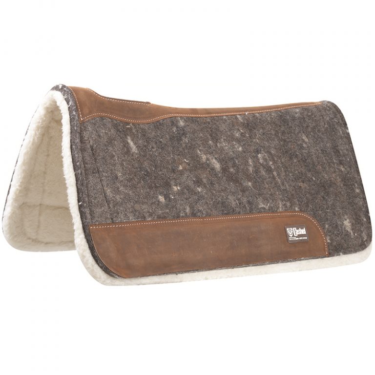 Cashel Saddles | Shop Best Cashel Saddles